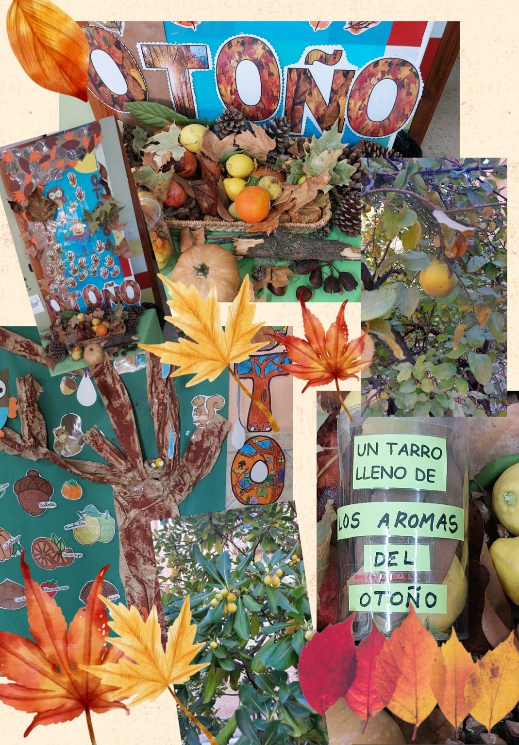 ¡ Nos encanta el otoño